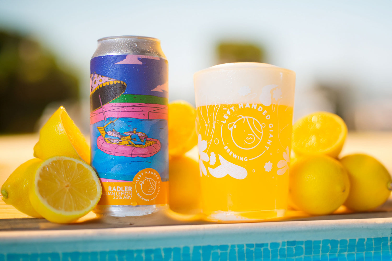 Left Handed Giant St Philips Brewery